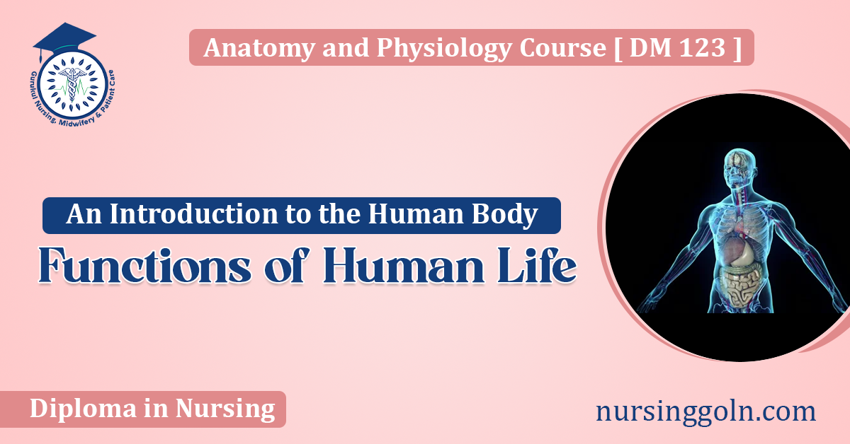 Functions of Human Life: An Introduction to the Human Body - Nursing ...