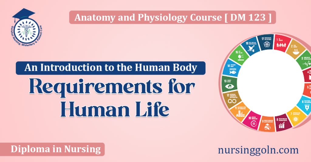 Requirements for Human Life: An Introduction to the Human Body ...