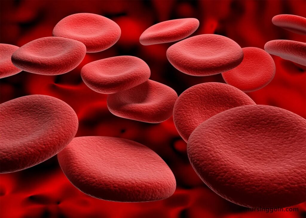Production of the Formed Elements - The Cardiovascular System: Blood ...