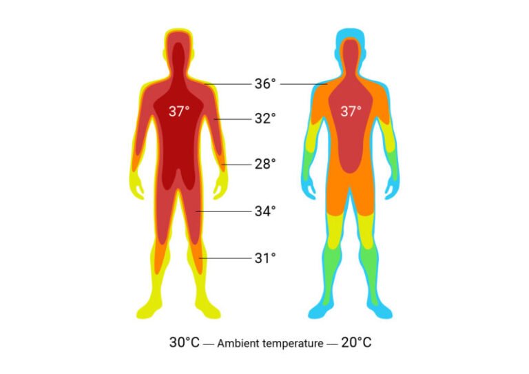 Changes in Body Temperature | CHAPTER 12 | Basic Science - Nursing ...