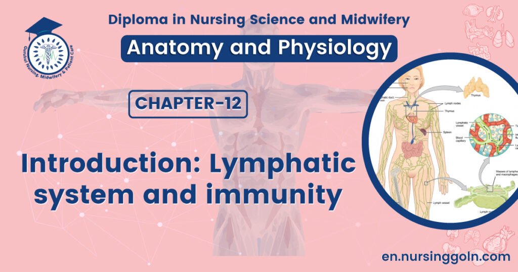 Introduction: Lymphatic system and immunity | CHAPTER 12 | Anatomy and ...