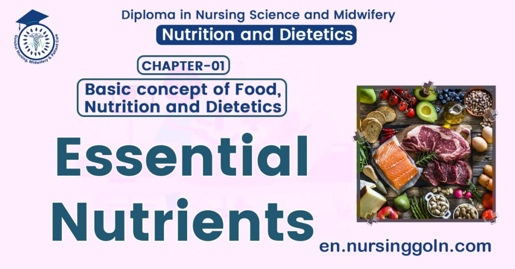 Essential Nutrients | CHAPTER 1 | Nutrition and Dietetics - Nursing ...