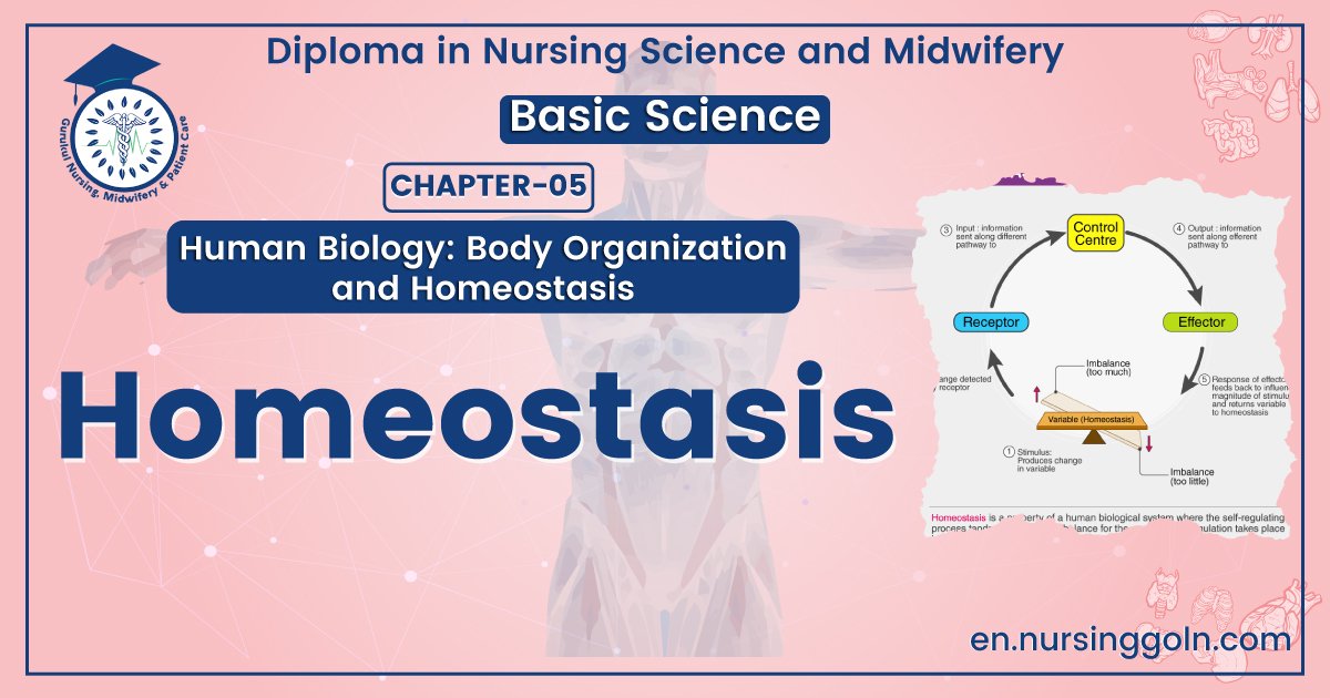 Properties of Homeostasis | CHAPTER 5 | Basic Science - Nursing ...