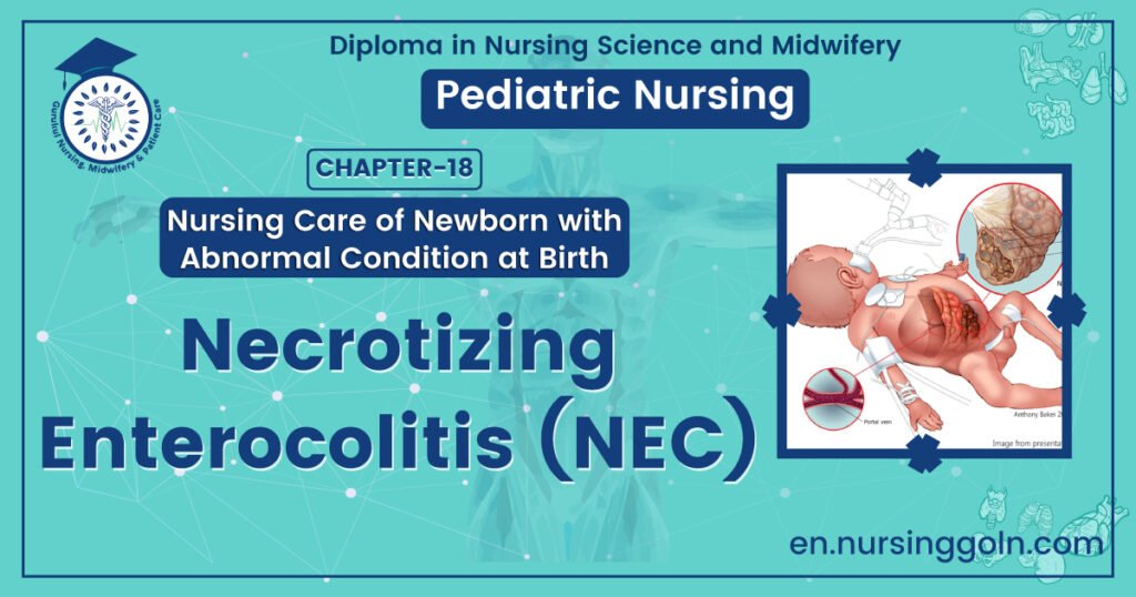 Necrotizing Enterocolitis Nec Chapter 18 Pediatric Nursing