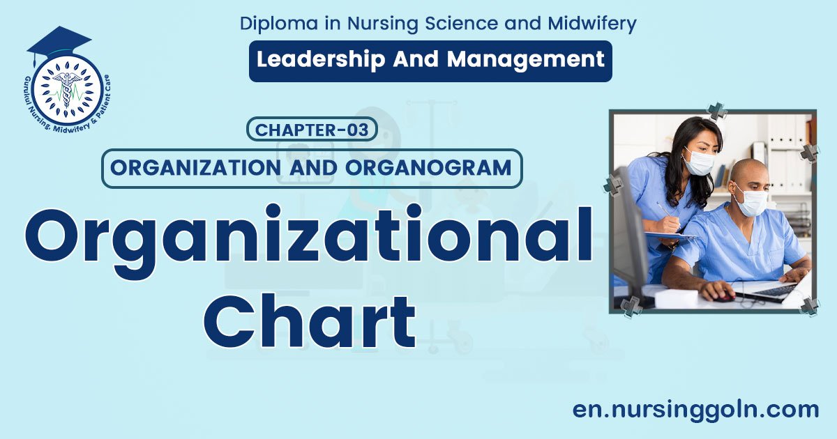 organizational chart | CHAPTER 3 | Leadership And Management - Nursing ...