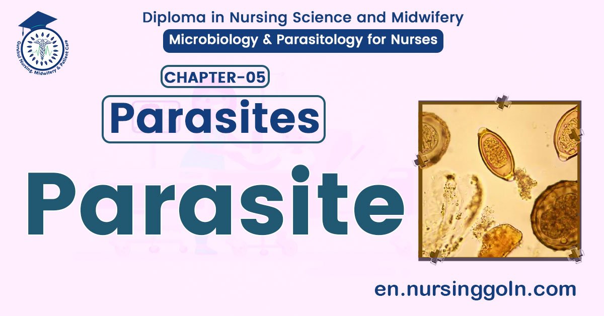 Definition of Parasitology | CHAPTER 5 | Microbiology & Parasitology ...