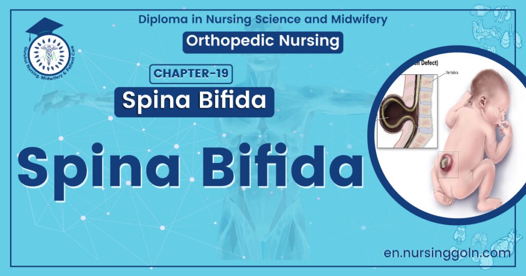 Spina Bifida | CHAPTER 19 | Orthopedic Nursing - Nursing & Midwifery ...