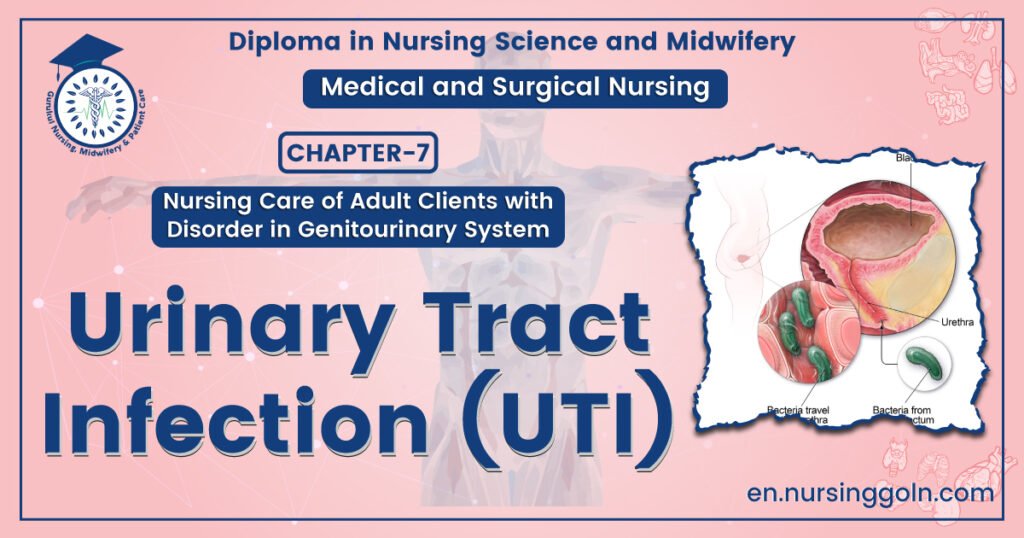 Urinary Tract Infection (UTI) | Chapter 7 | Medical And Surgical ...